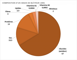 Botanique Du Blé Espace Pain Information